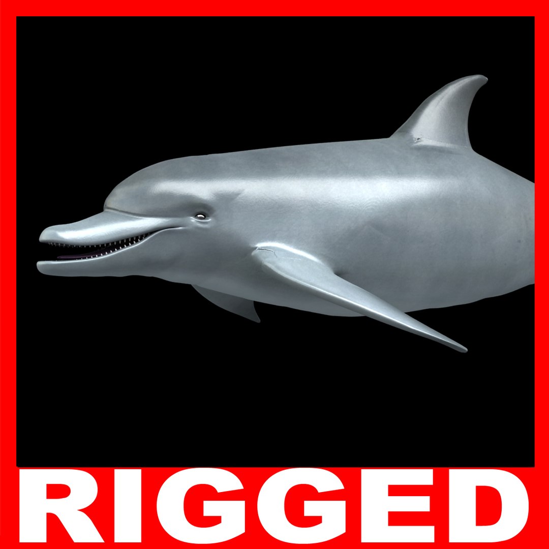 Max Dolphin Rigged Sea
