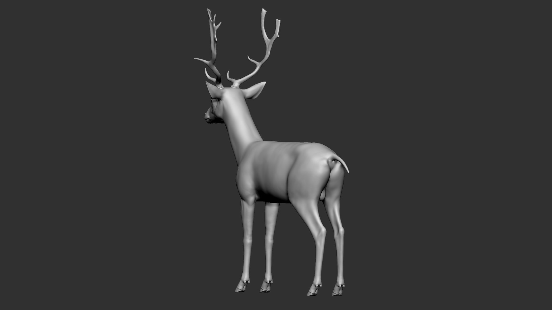 3D Model Red Deer Zbrush Sculpt - TurboSquid 2034647