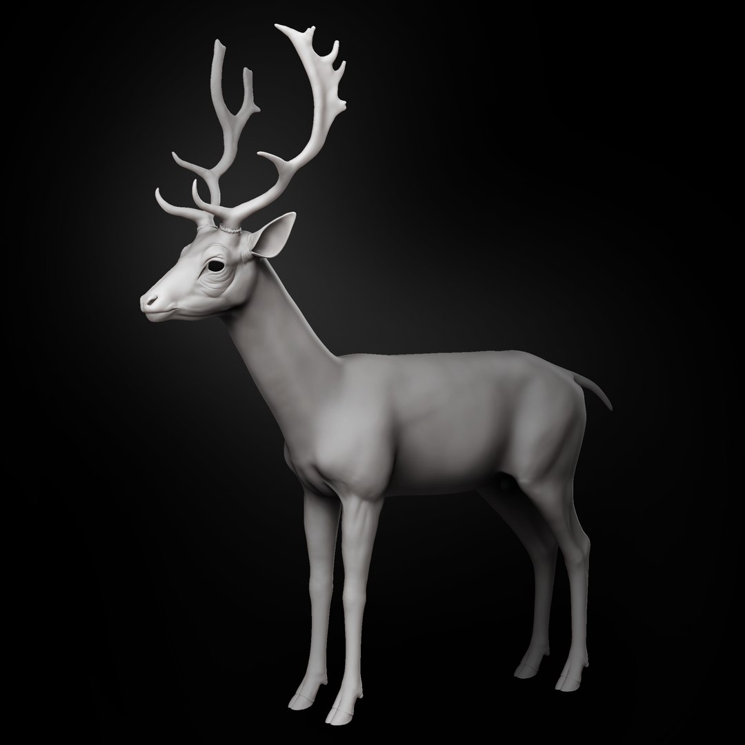 3D Model Red Deer Zbrush Sculpt - TurboSquid 2034647