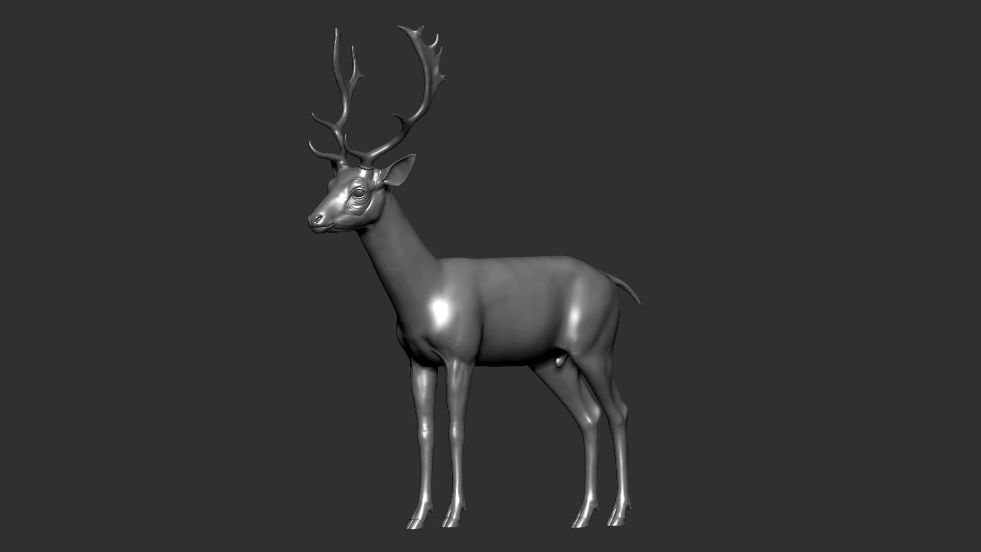 3D Model Red Deer Zbrush Sculpt - TurboSquid 2034647