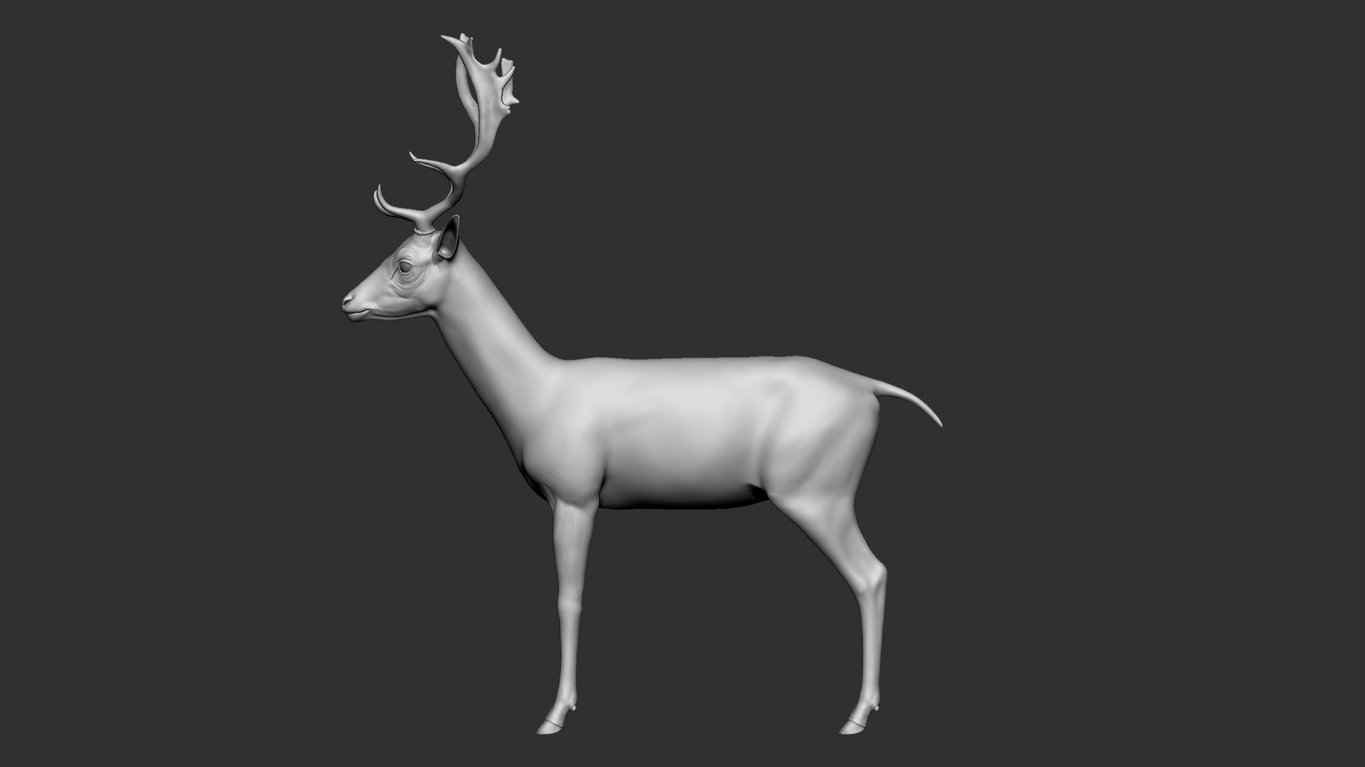 3D Model Red Deer Zbrush Sculpt - TurboSquid 2034647