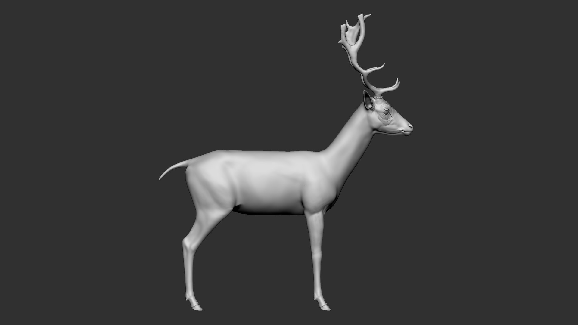 3D Model Red Deer Zbrush Sculpt - TurboSquid 2034647