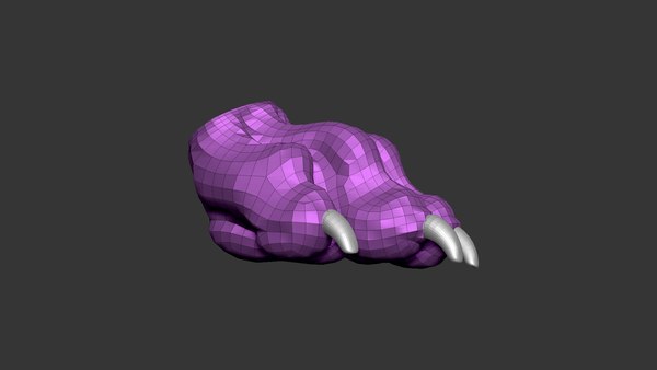 Dog Paw Highpoly Sculpt 3D model - TurboSquid 1807855