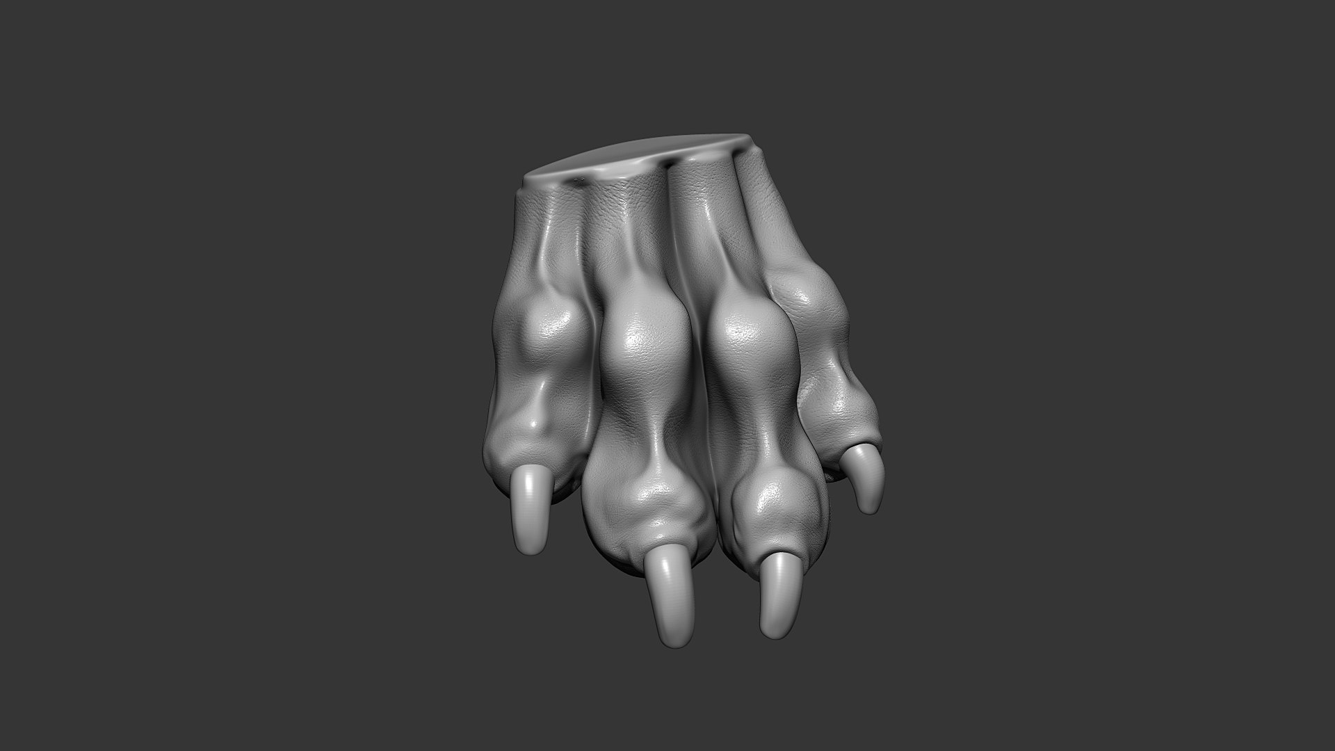 Dog Paw Highpoly Sculpt 3D Model - TurboSquid 1807855