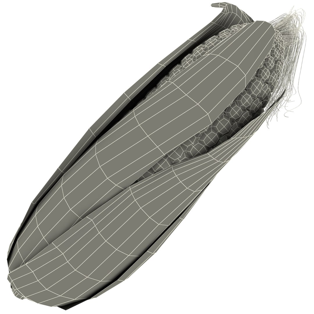 3d Model Corn Modelled