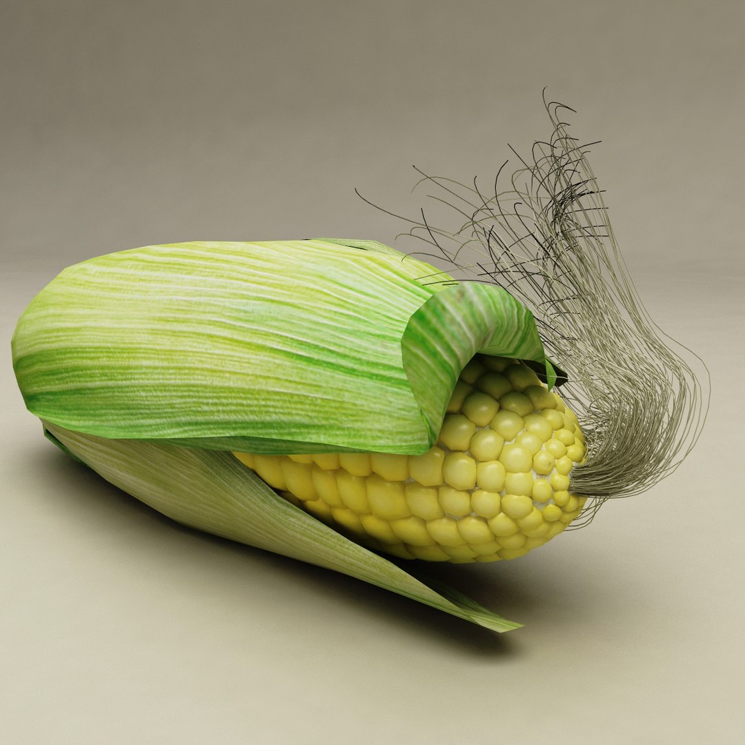 3d Model Corn Modelled