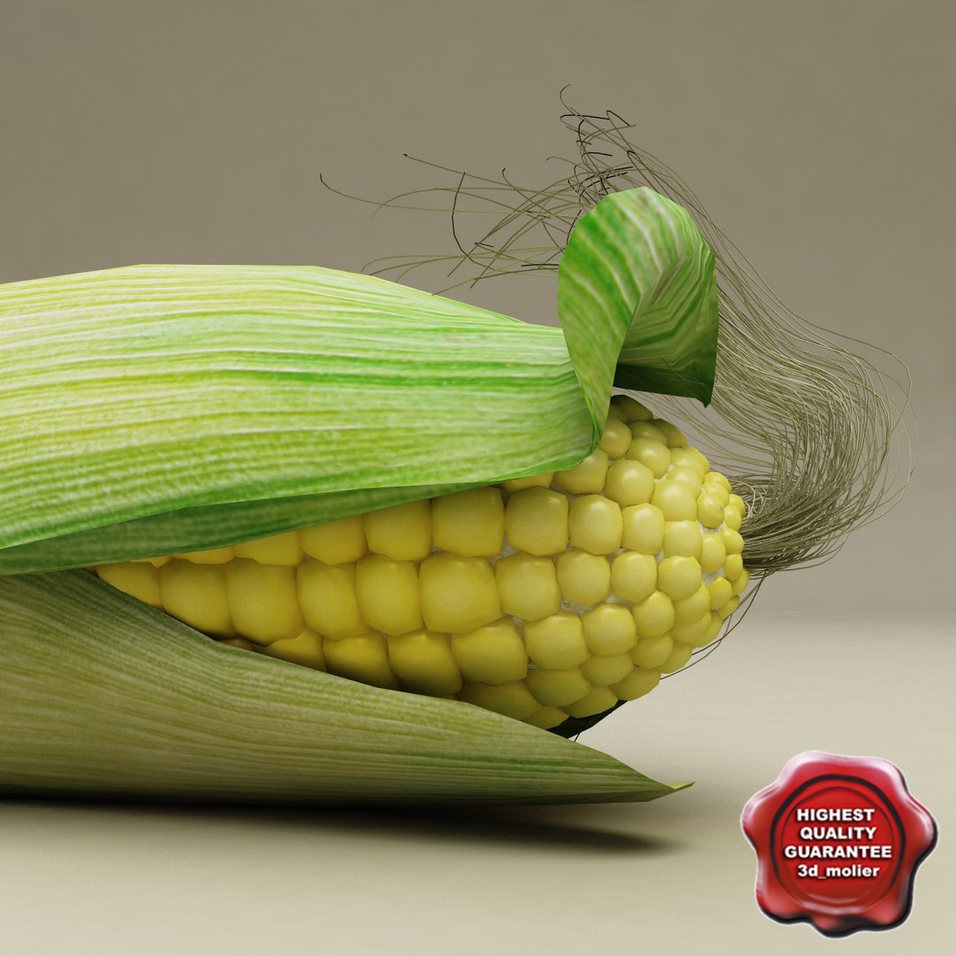 3d Model Corn Modelled