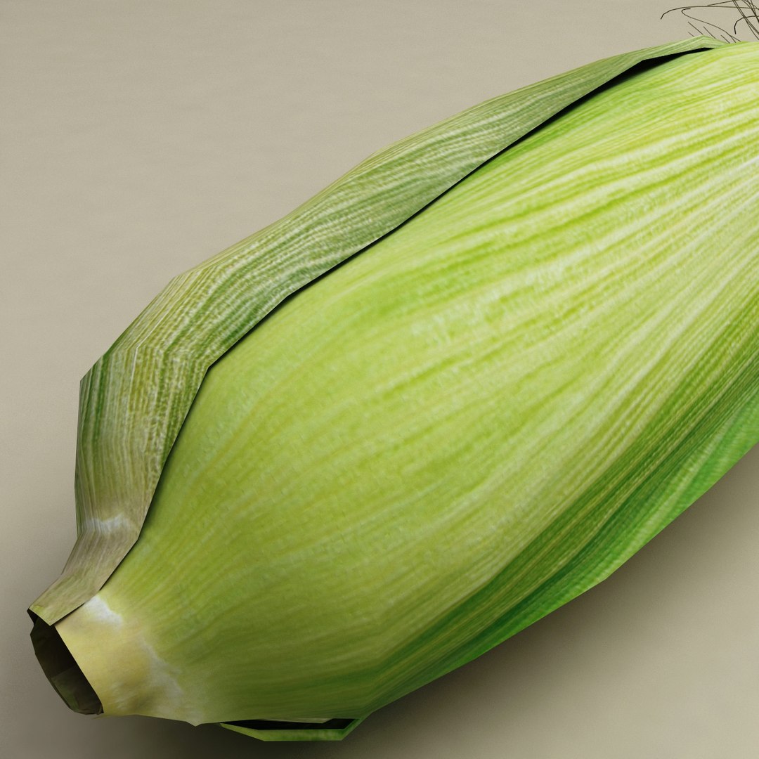 3d Model Corn Modelled