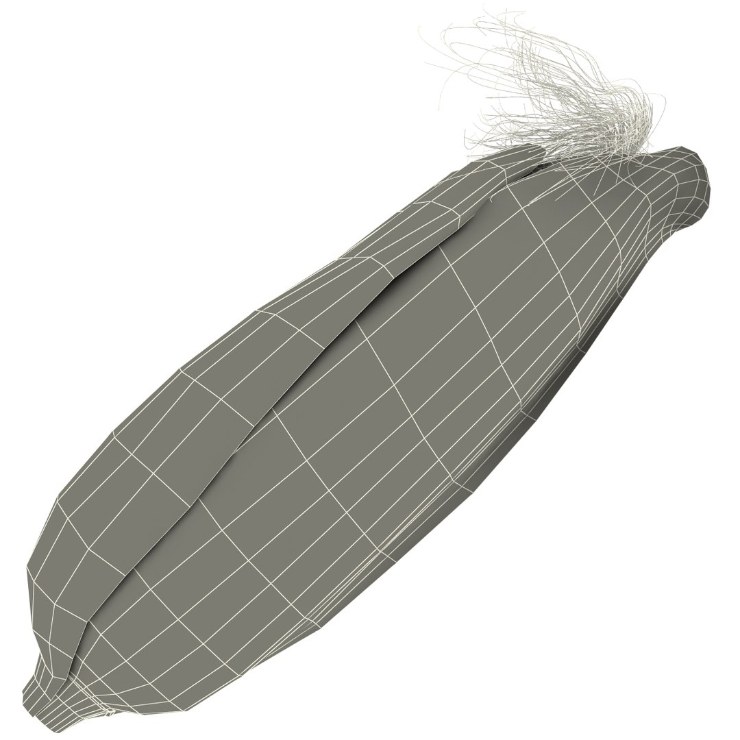 3d Model Corn Modelled