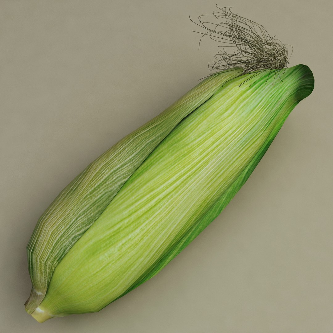3d Model Corn Modelled