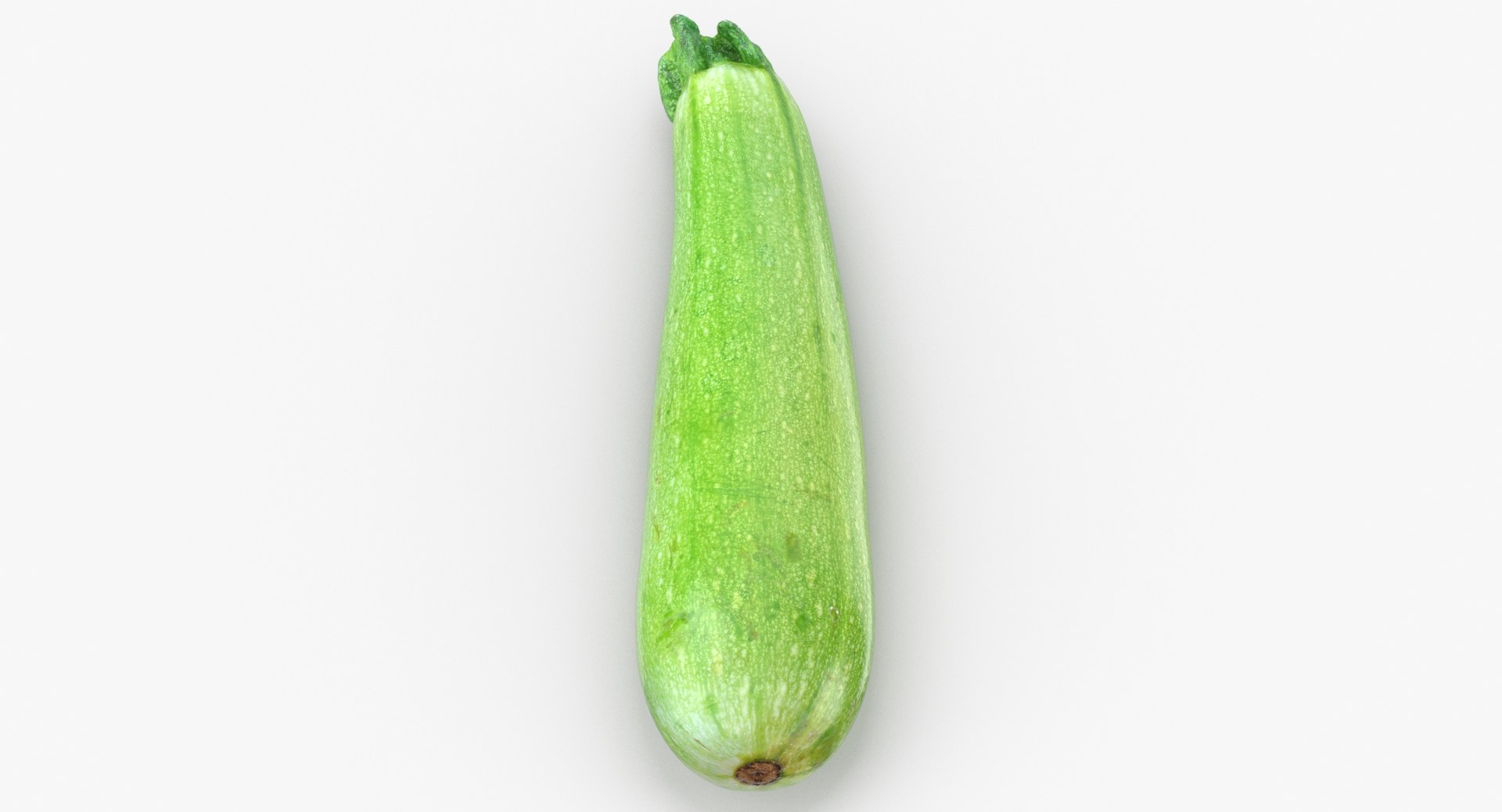 Zucchini Cousa Squash 3D Model - TurboSquid 1473713