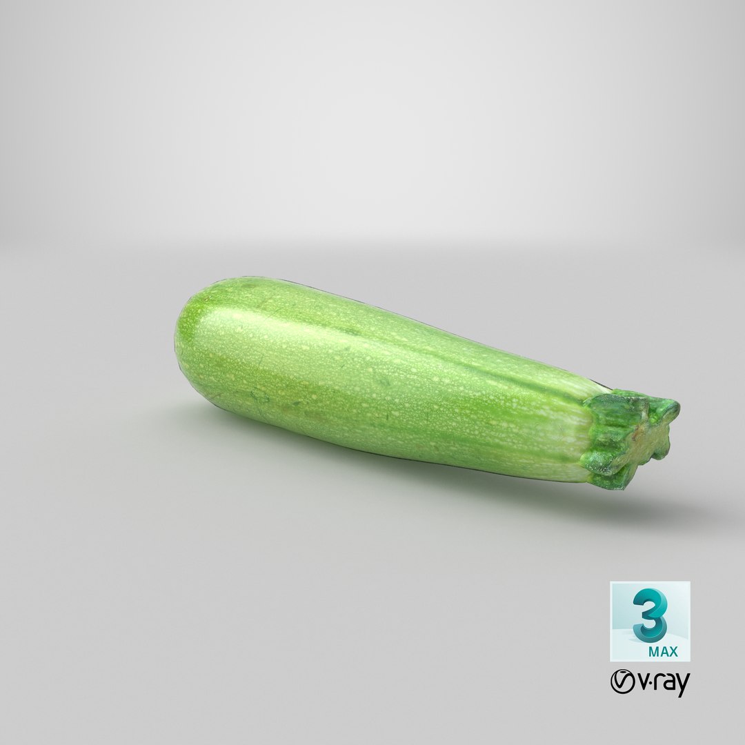 Zucchini Cousa Squash 3D Model - TurboSquid 1473713
