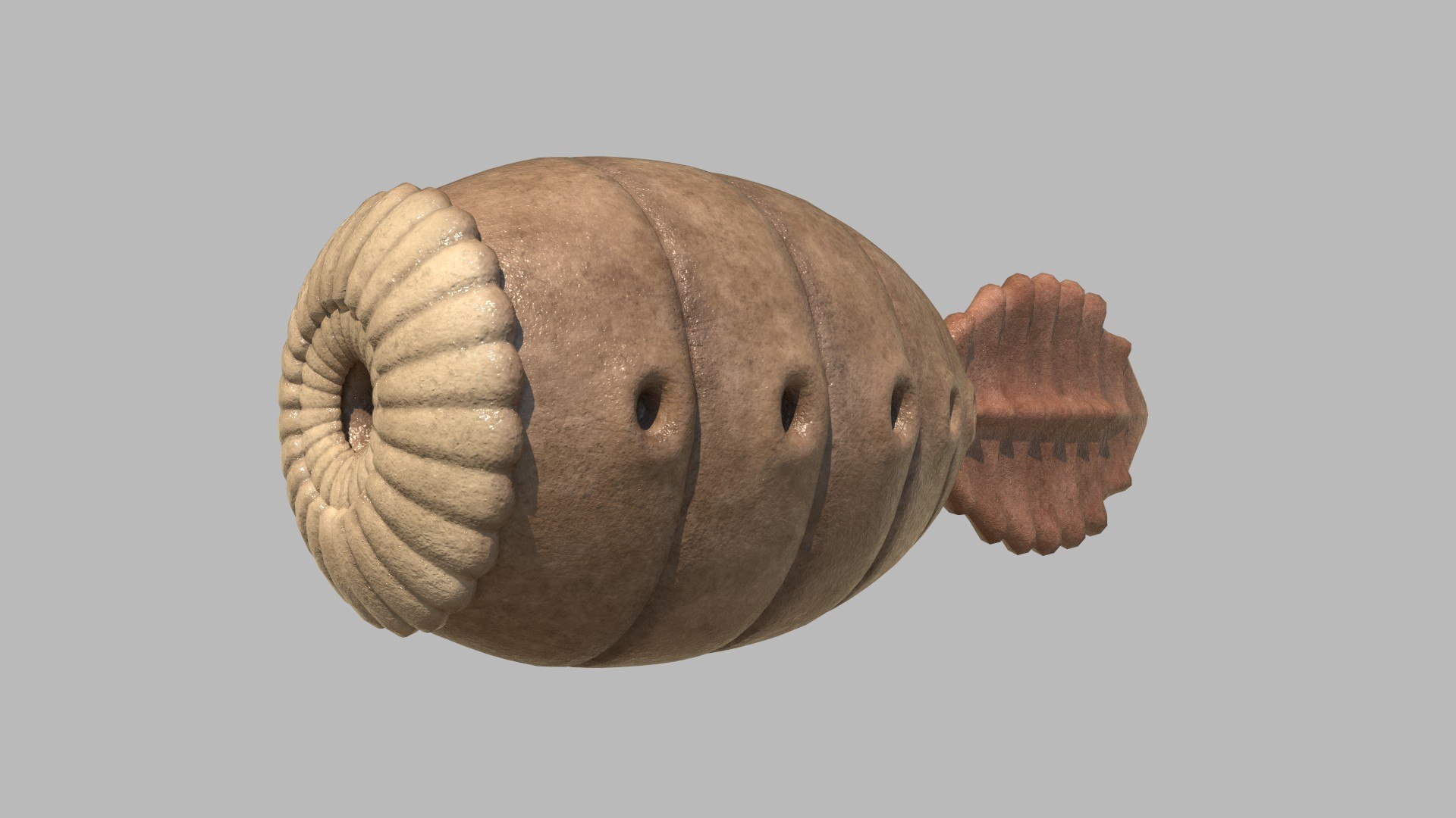 3D Xidazoon Vetulicolia Pomatrum - TurboSquid 1573899