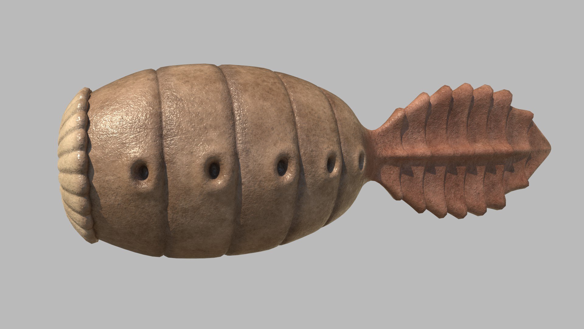 3D xidazoon vetulicolia pomatrum - TurboSquid 1573899