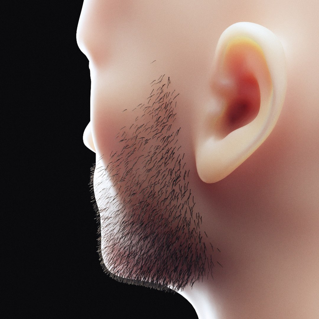 3D Stubble Low Poly 1 Model - TurboSquid 1922793