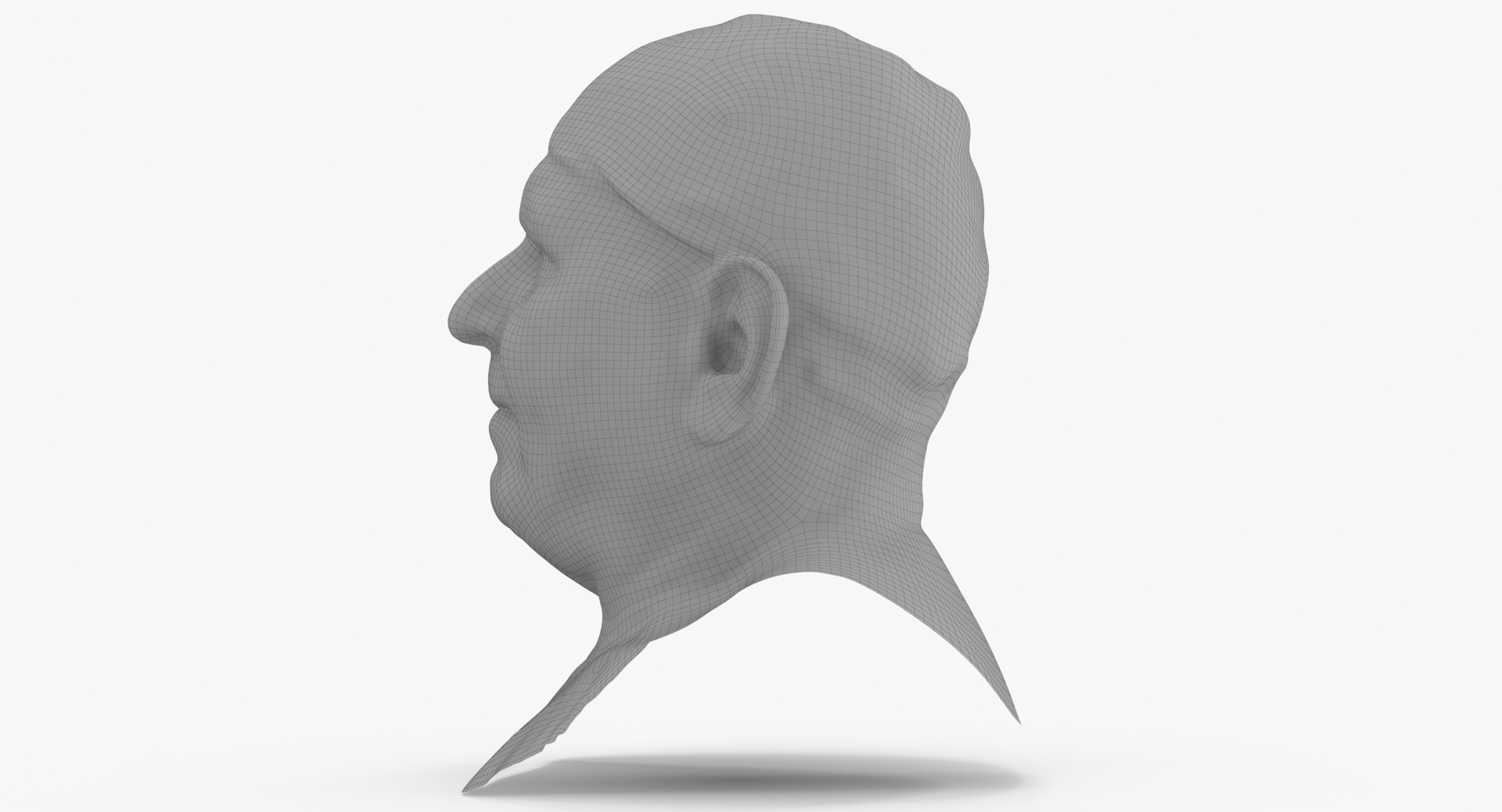 Homer Human Head Tongue Bulge Right AU36 Clean Scan 3D model ...