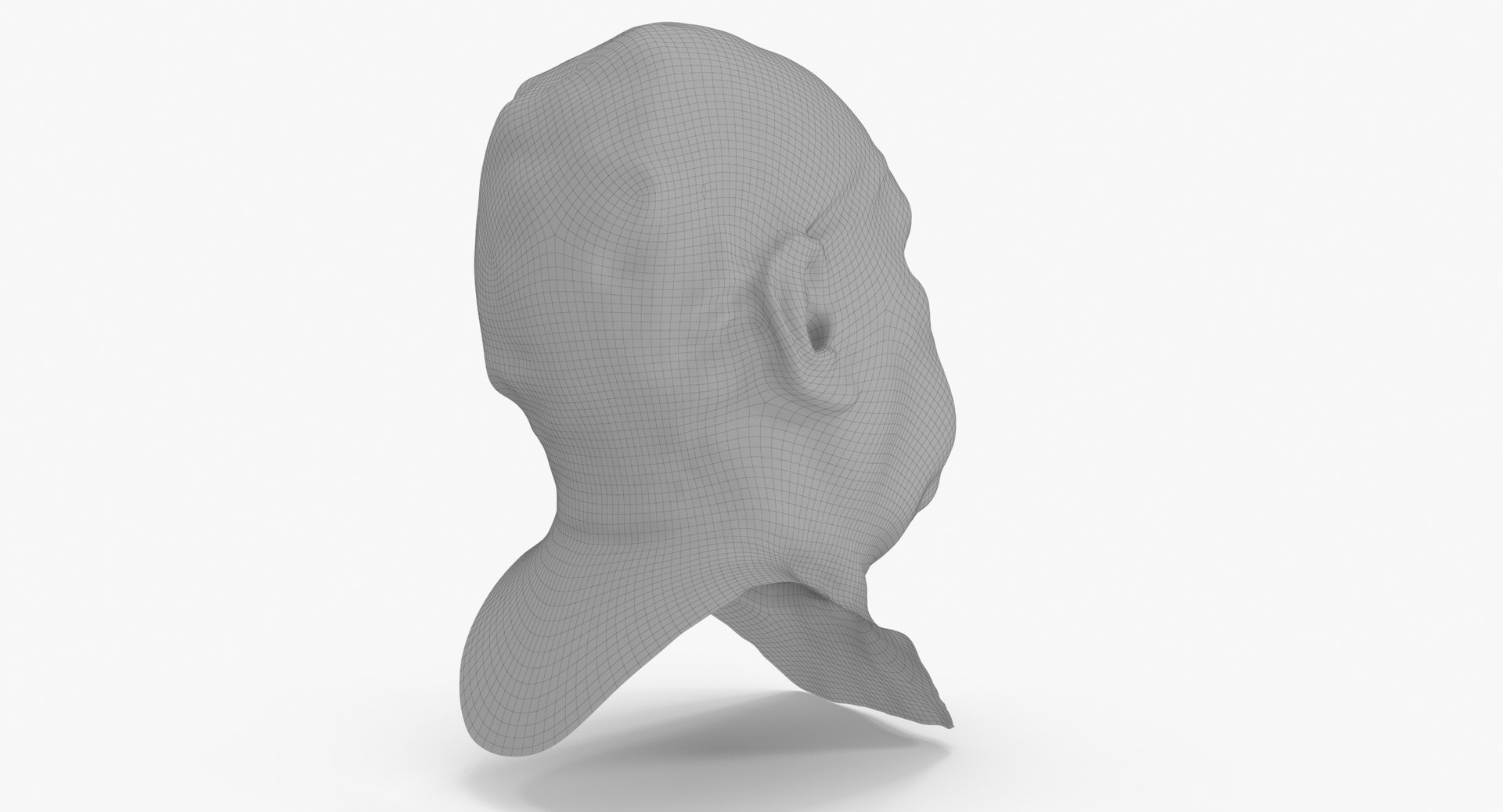 Homer Human Head Tongue Bulge Right AU36 Clean Scan 3D model ...