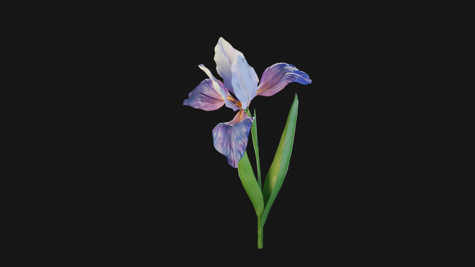 3D Animated Low Poly Iris Flower - TurboSquid 2215611