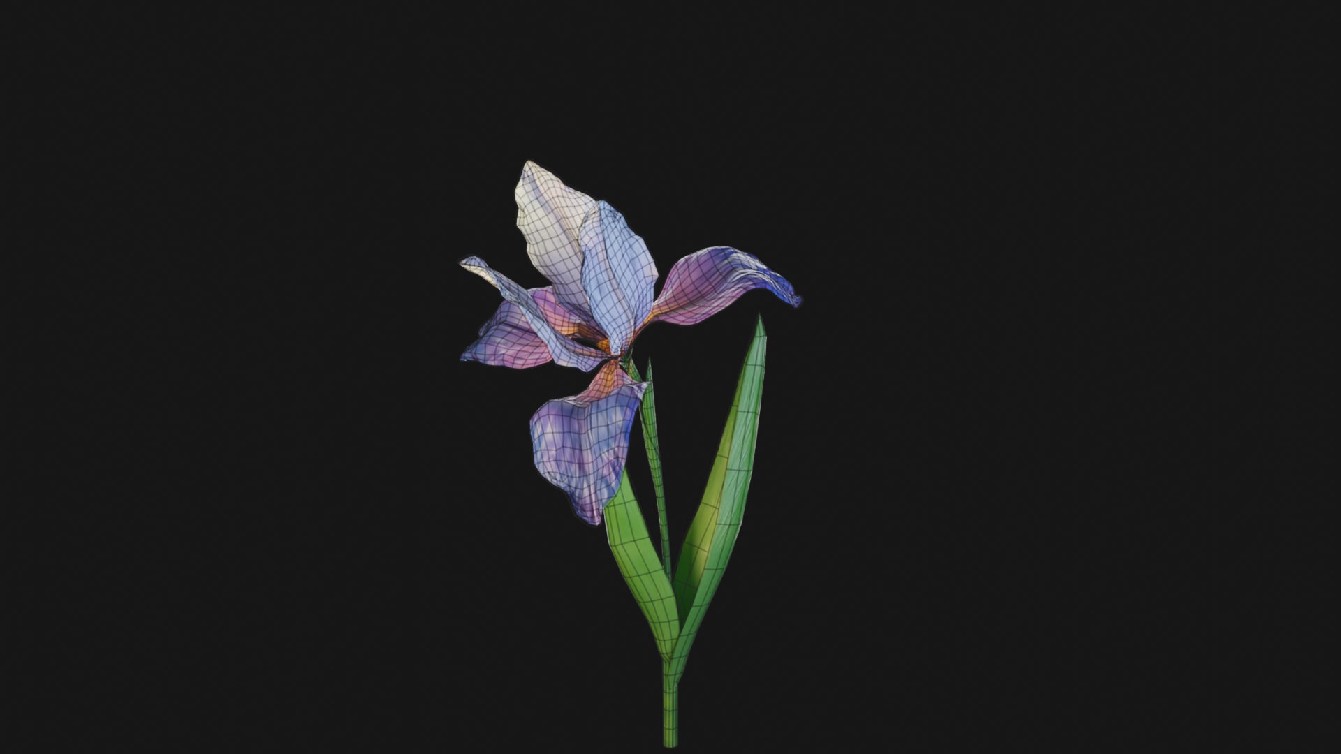 3D Animated Low Poly Iris Flower - TurboSquid 2215611