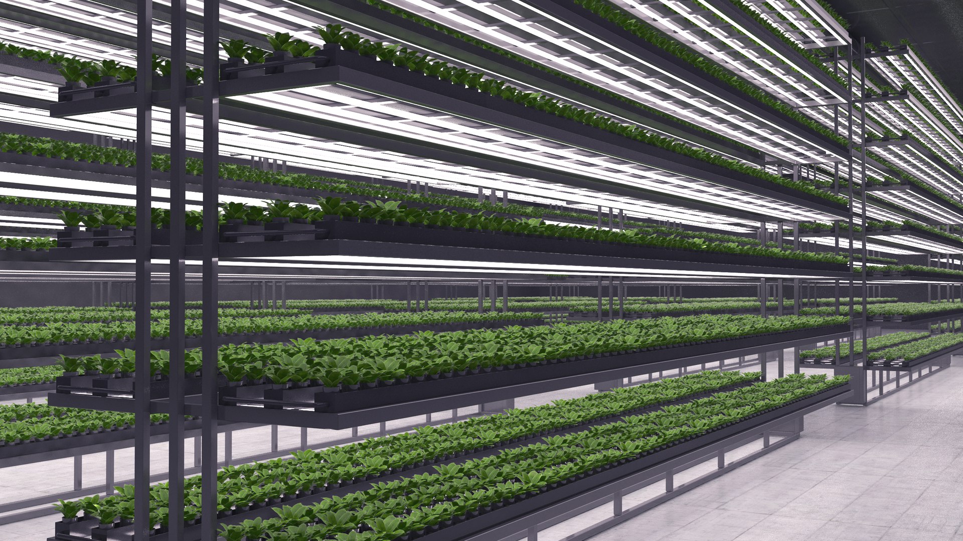 Hydroponics Vertical Farm 05 3D Model - TurboSquid 1883488