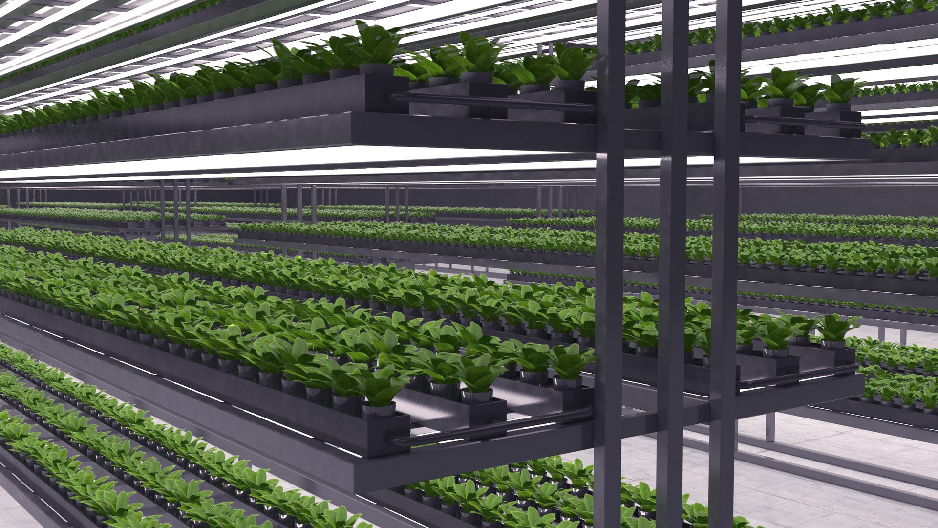 Hydroponics Vertical Farm 05 3D Model - TurboSquid 1883488