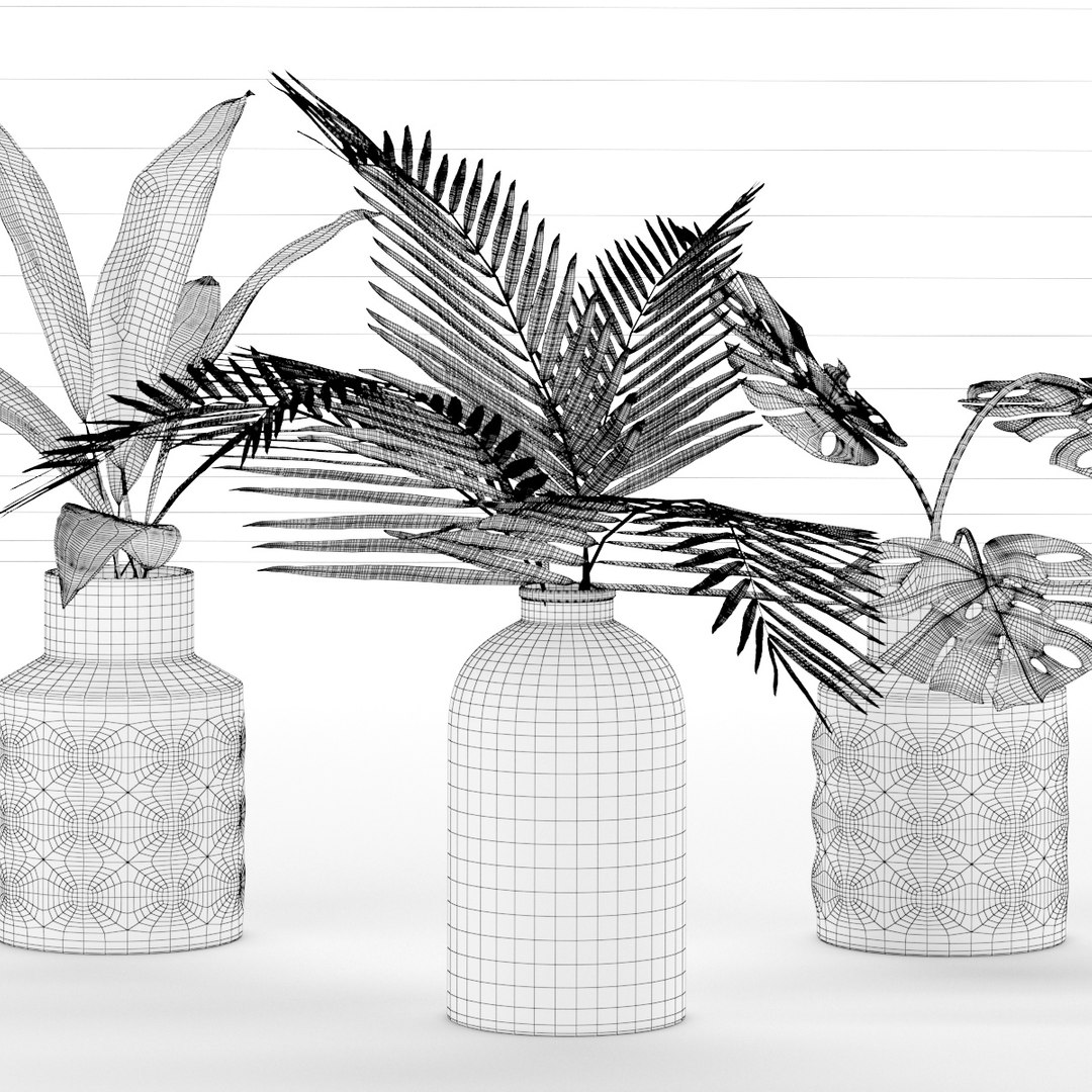 3D Plant Collection 6 - TurboSquid 1834203