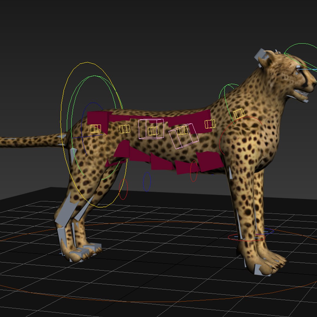 Max Cheetah Rigged