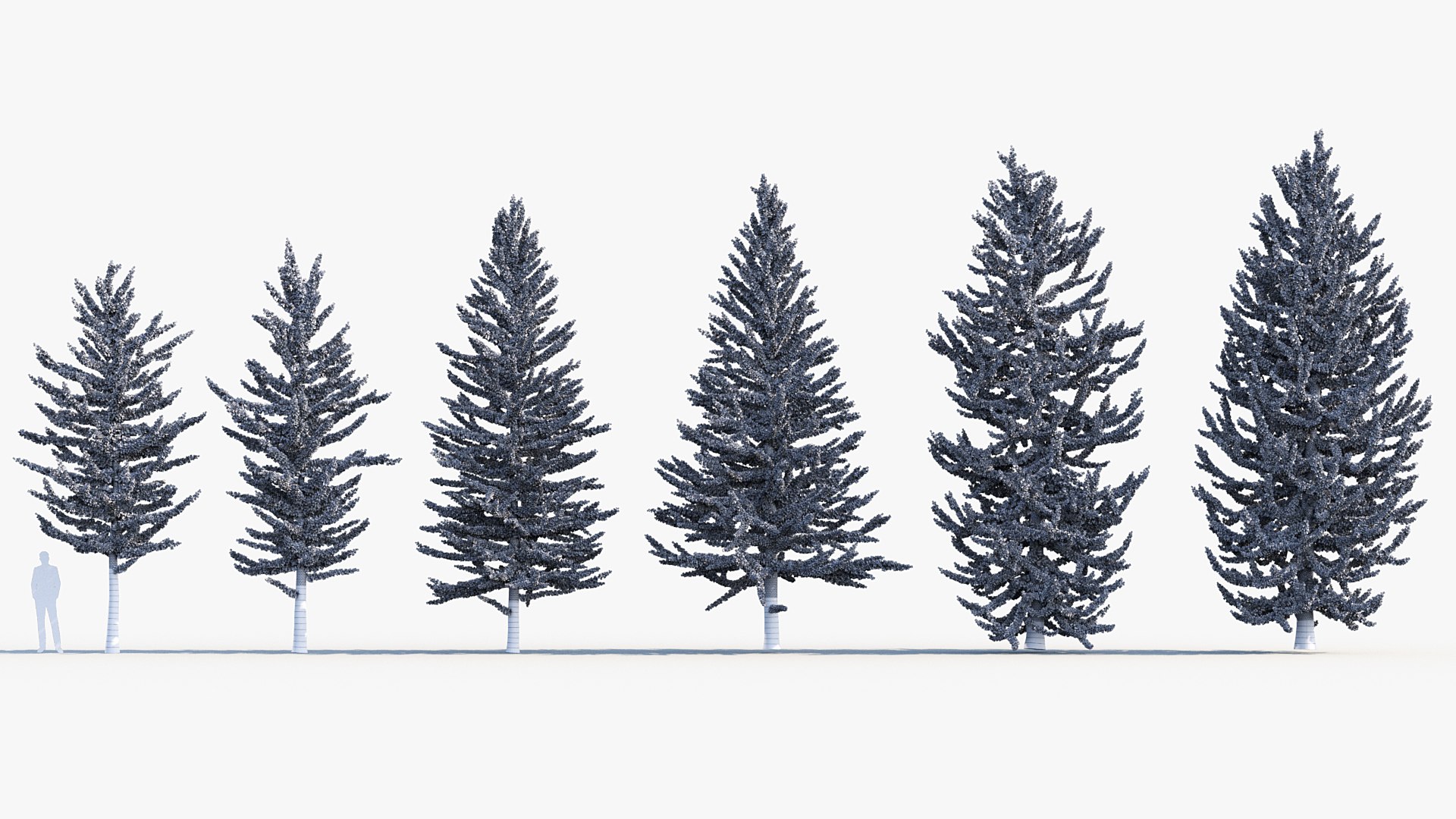 3D Larix Laricina Tamarack Model - TurboSquid 2050055