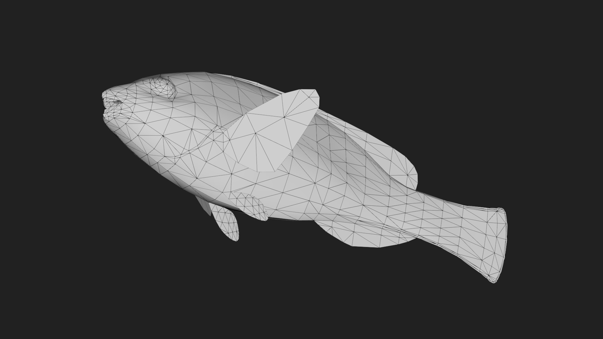 Wrasse model - TurboSquid 2122071