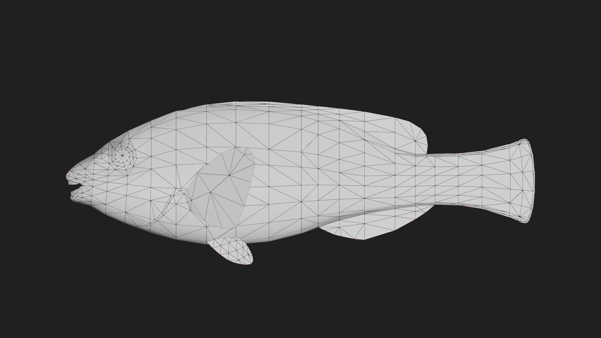 Wrasse model - TurboSquid 2122071
