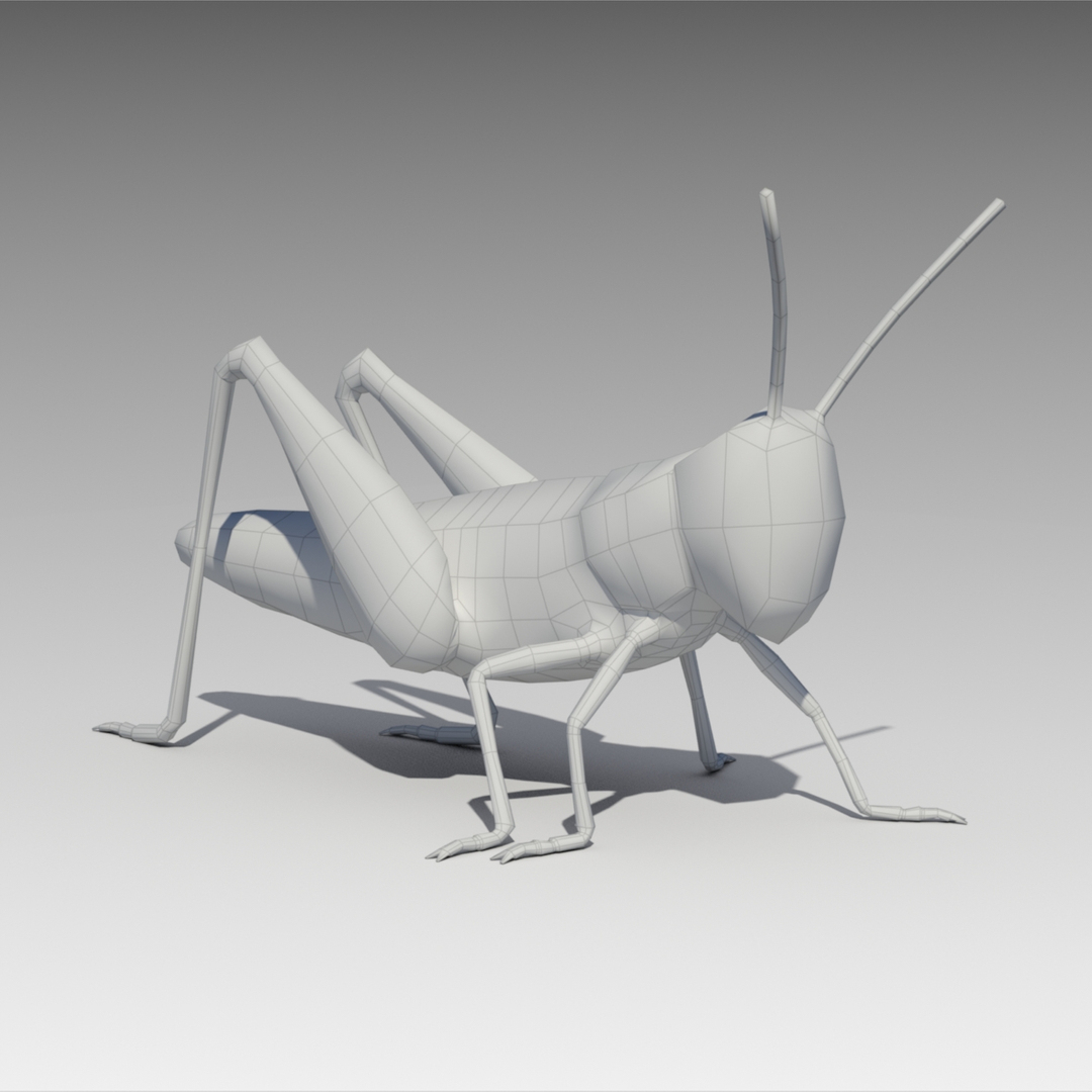max grasshopper animations
