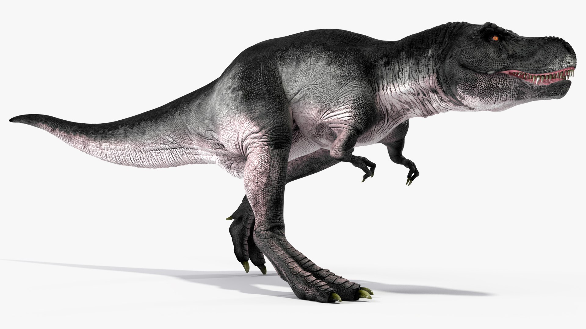T Rex Running Animated Rigged 3D model - TurboSquid 2102417