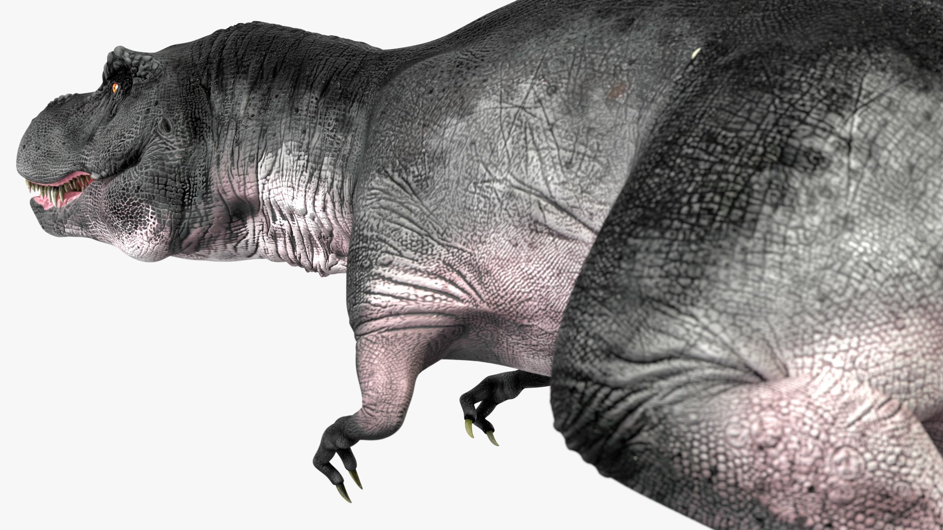 T Rex Running Animated Rigged 3D Model - TurboSquid 2102417