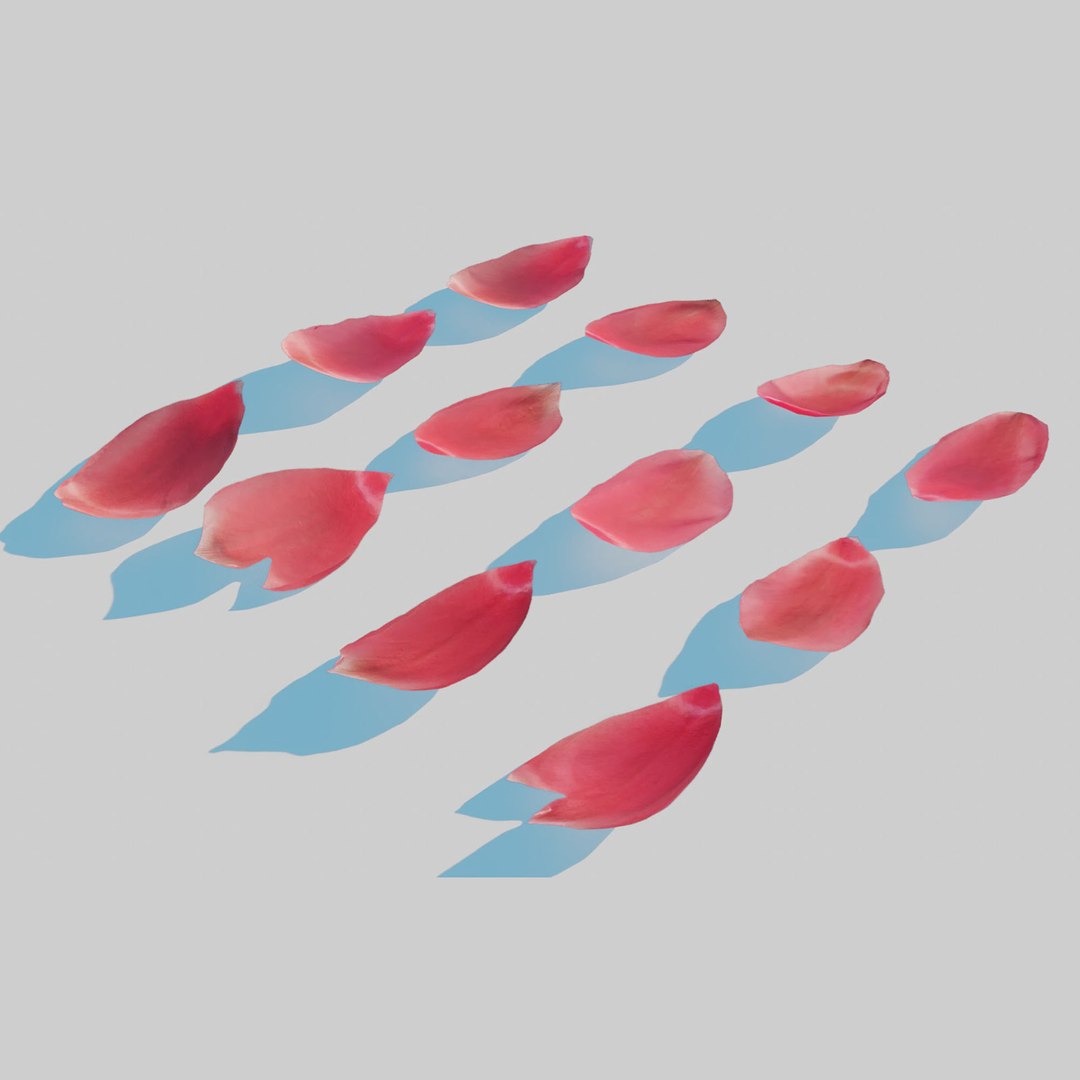 3D Red Tulip Petals Model - TurboSquid 1968076