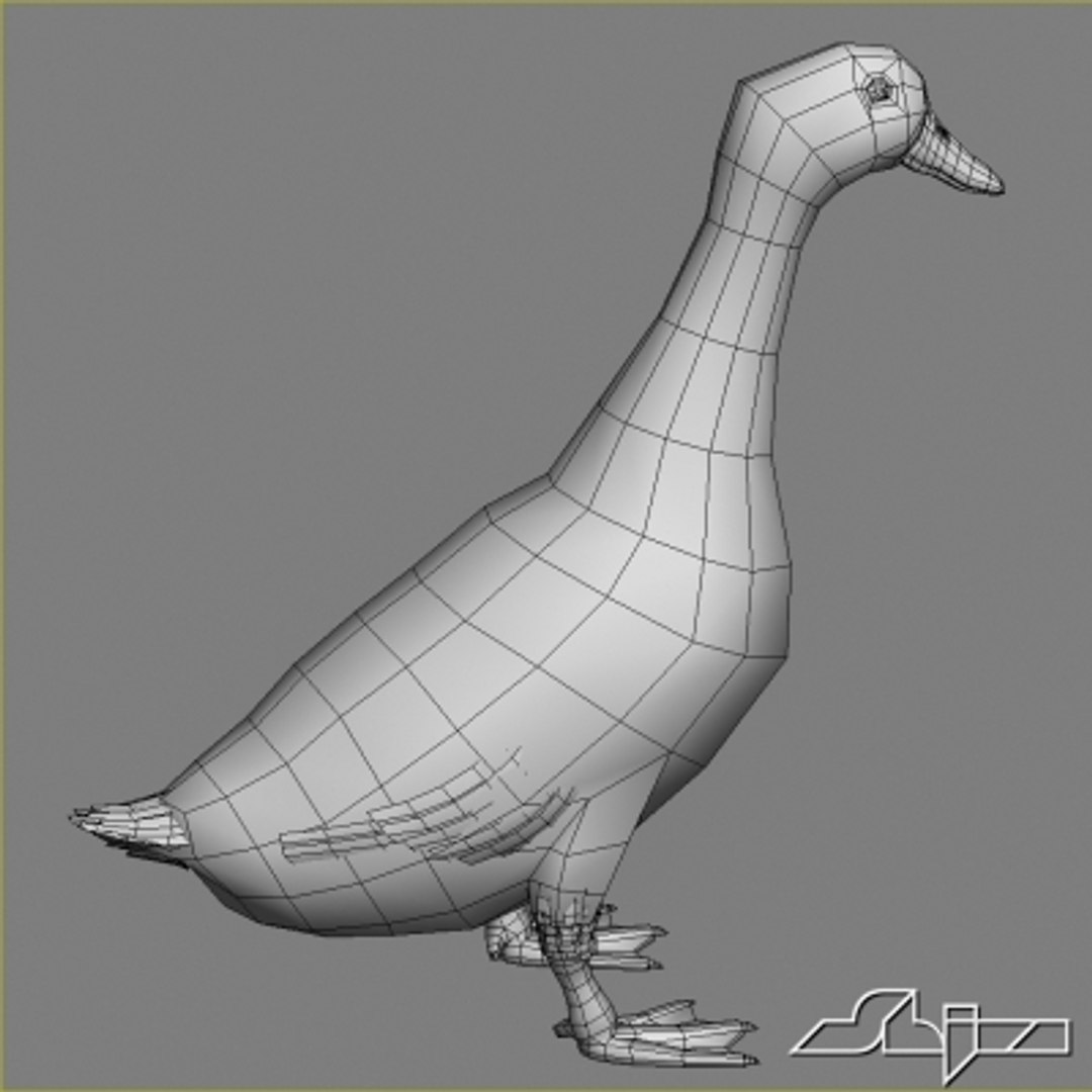 3d Duck
