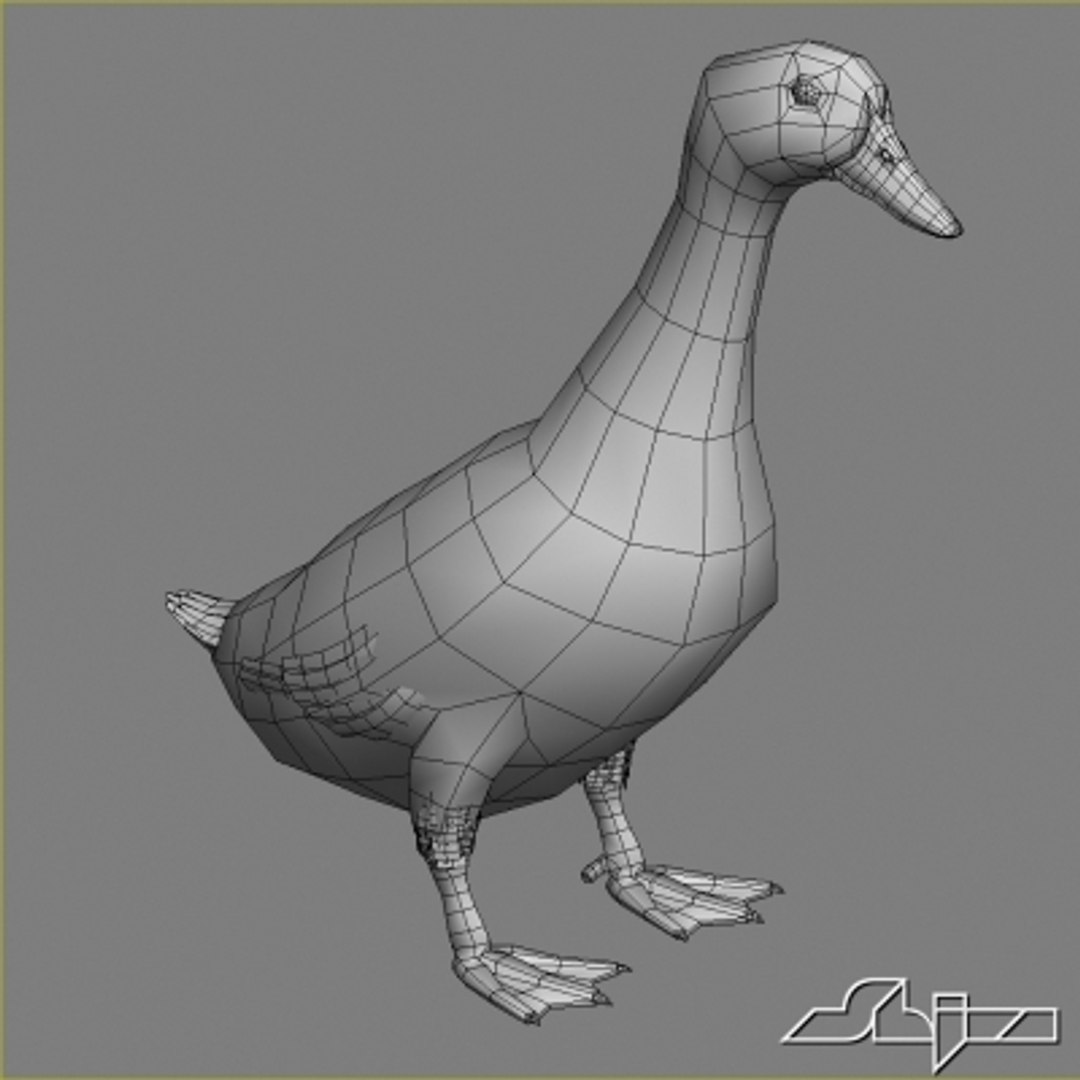 3d Duck