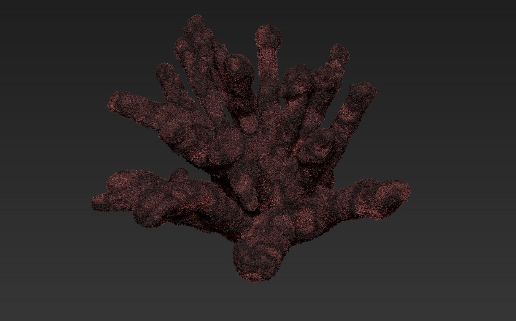 Coral 3D Model | 1148115 | TurboSquid