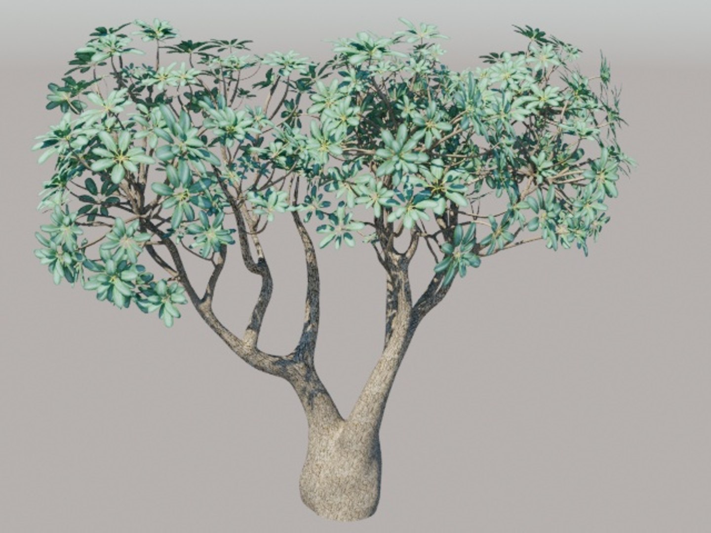 Tree Bush 3D Model - TurboSquid 1601910