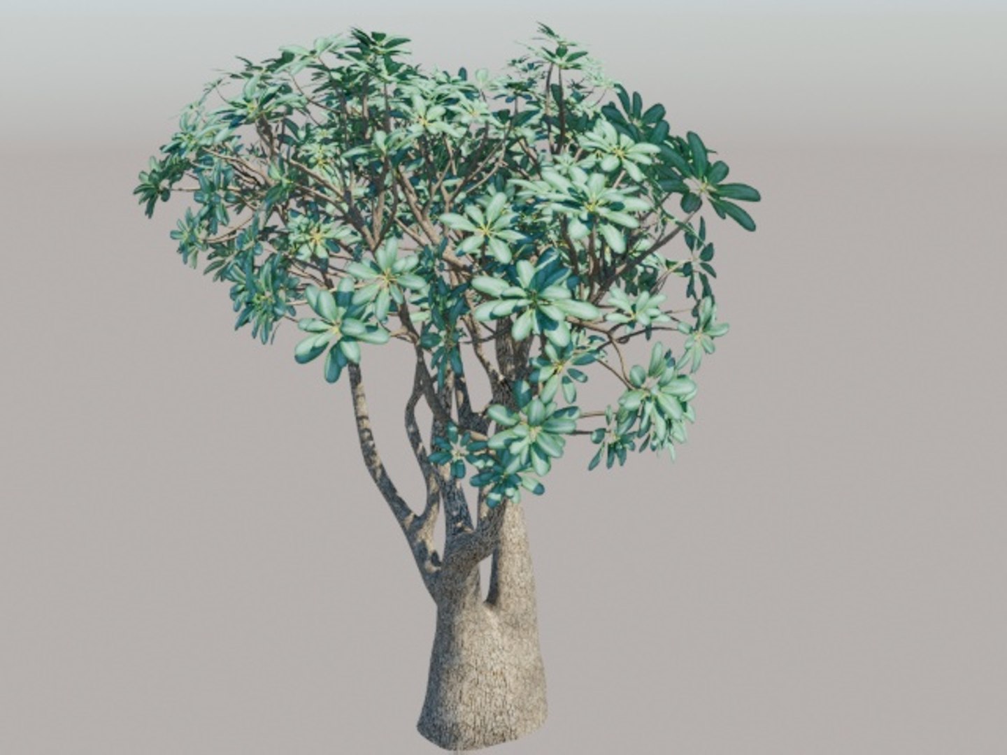 Tree Bush 3D Model - TurboSquid 1601910