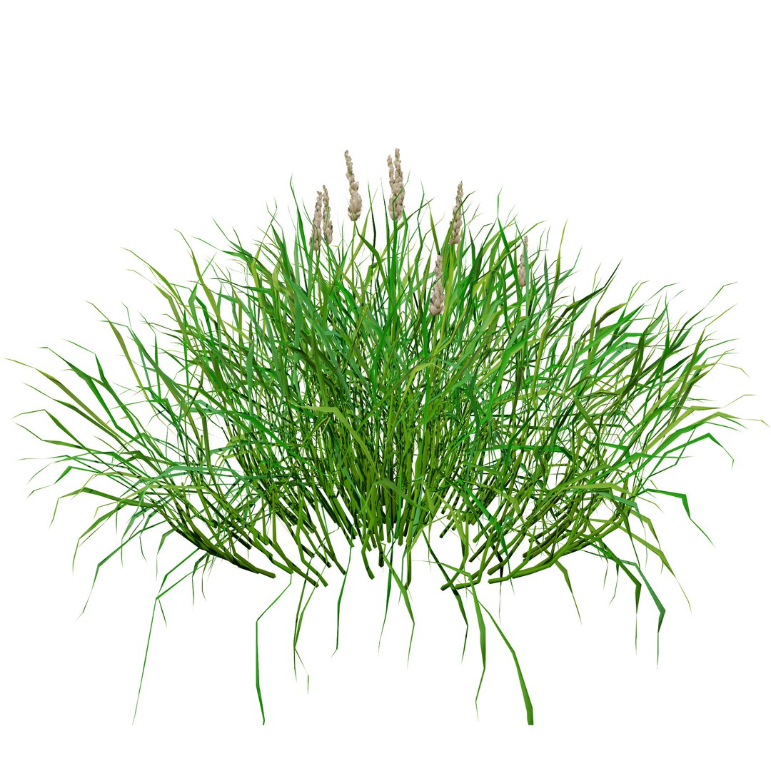 3D Realistic Grass 3D Model Model - TurboSquid 2261898