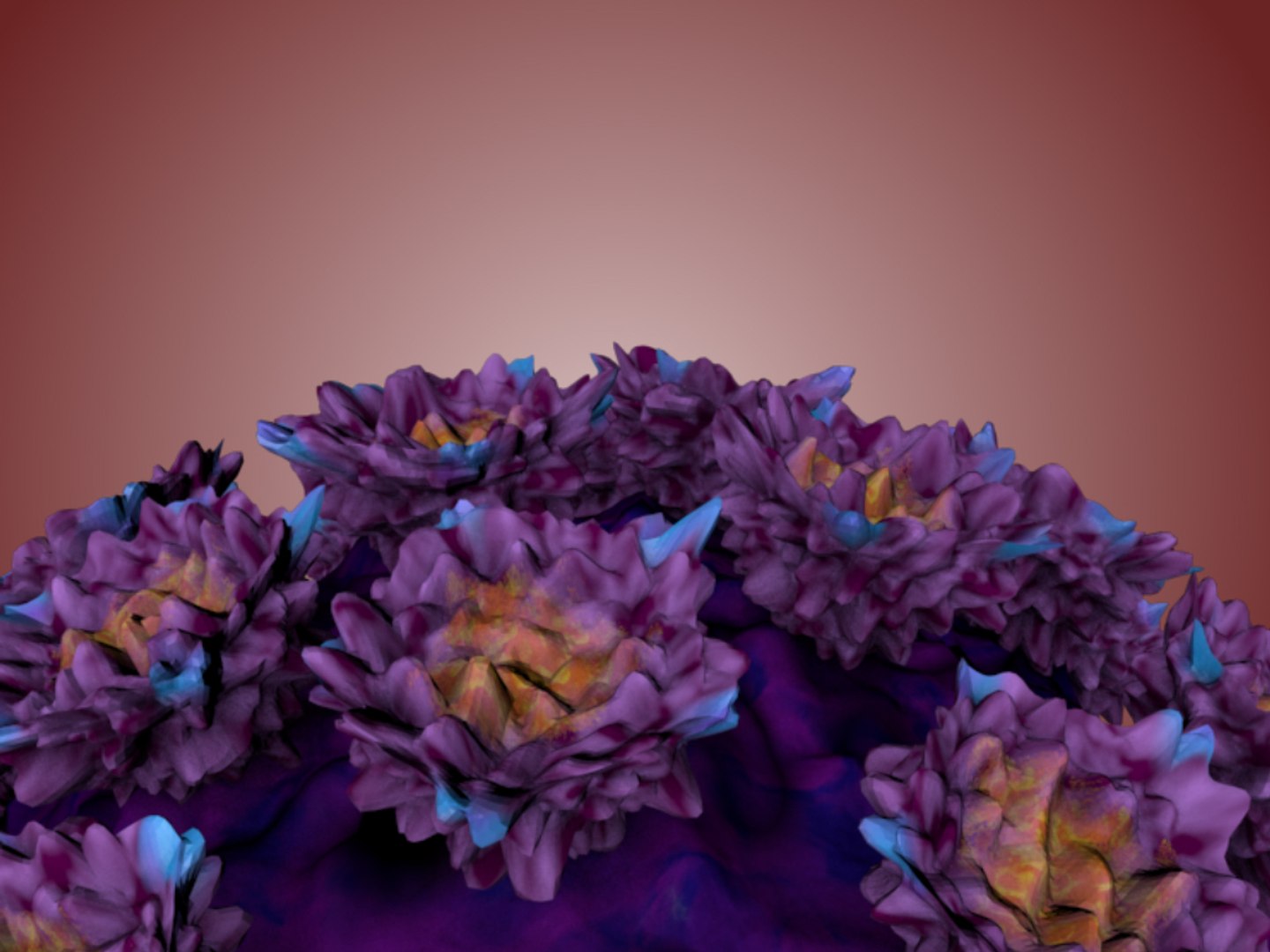 3d C4d Human Papilloma Virus Cell