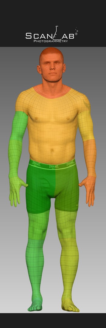 3d Body Scan - Rigged Male Model