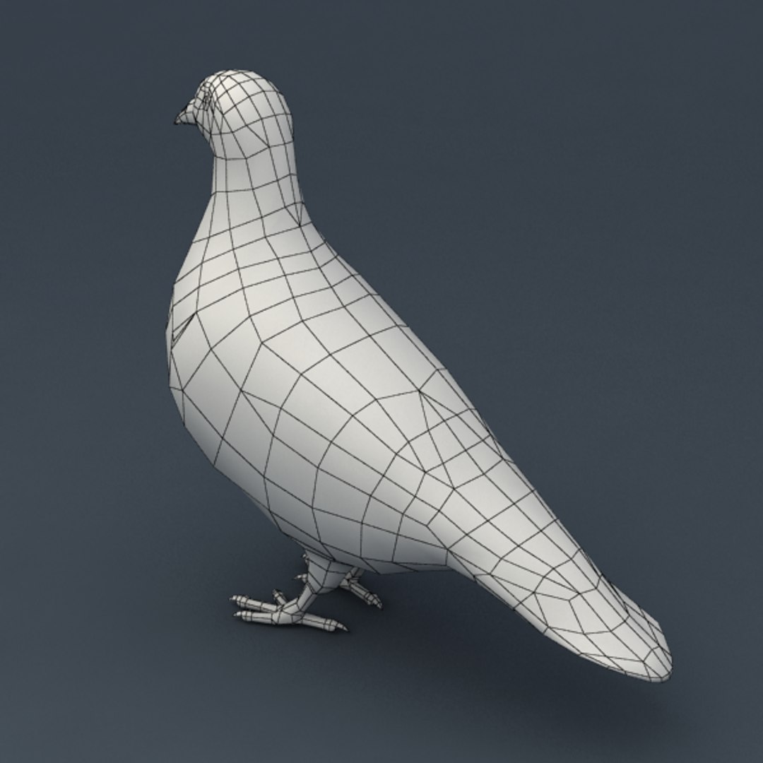 Rigged Pigeon 3d Model