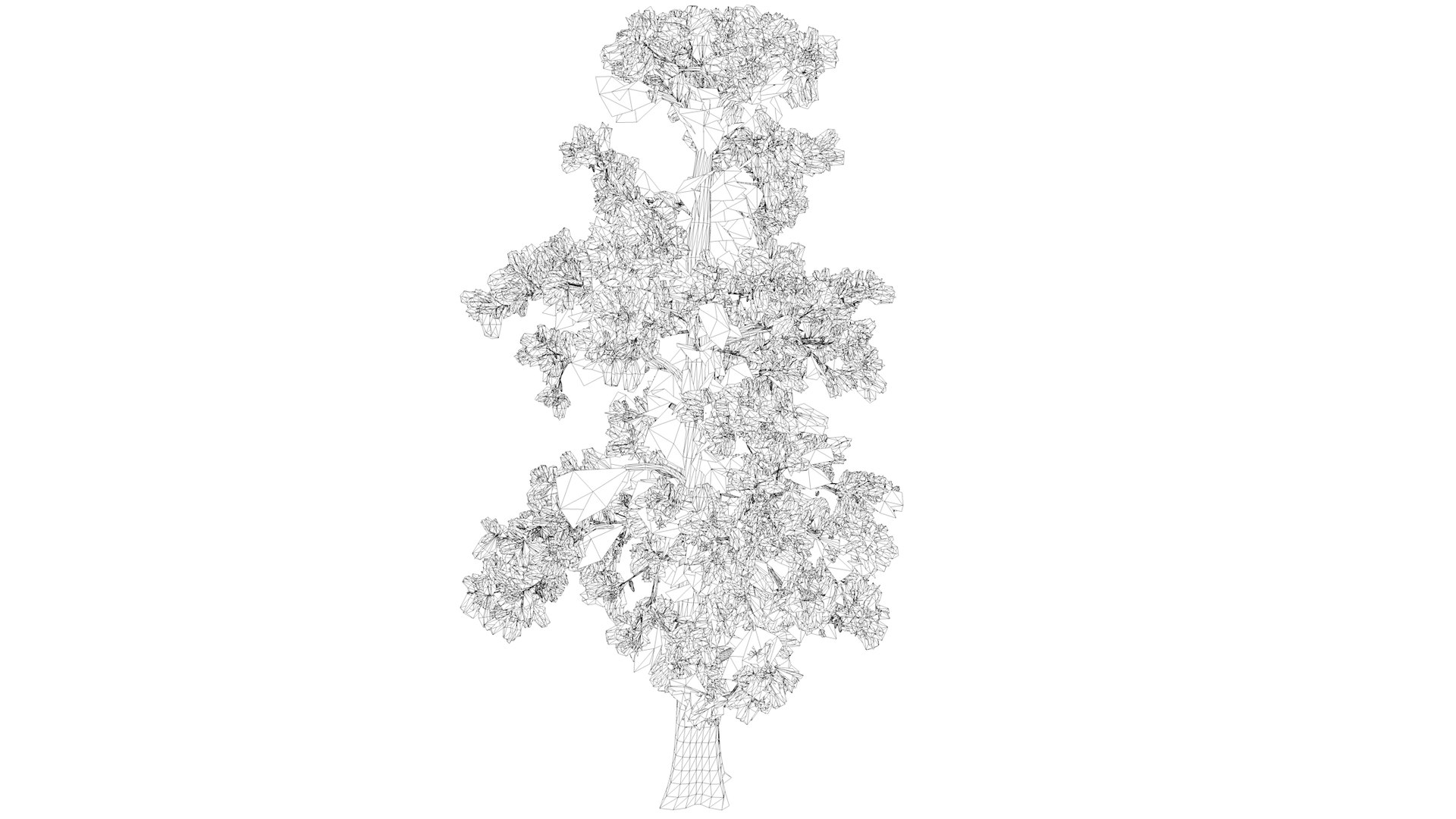3D Eastern White Pine - 03 - Model - TurboSquid 2373452