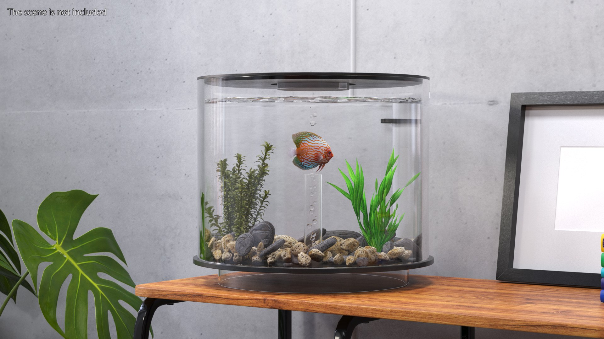 Black Cylinder Fish Tank 3D Model - TurboSquid 2133689