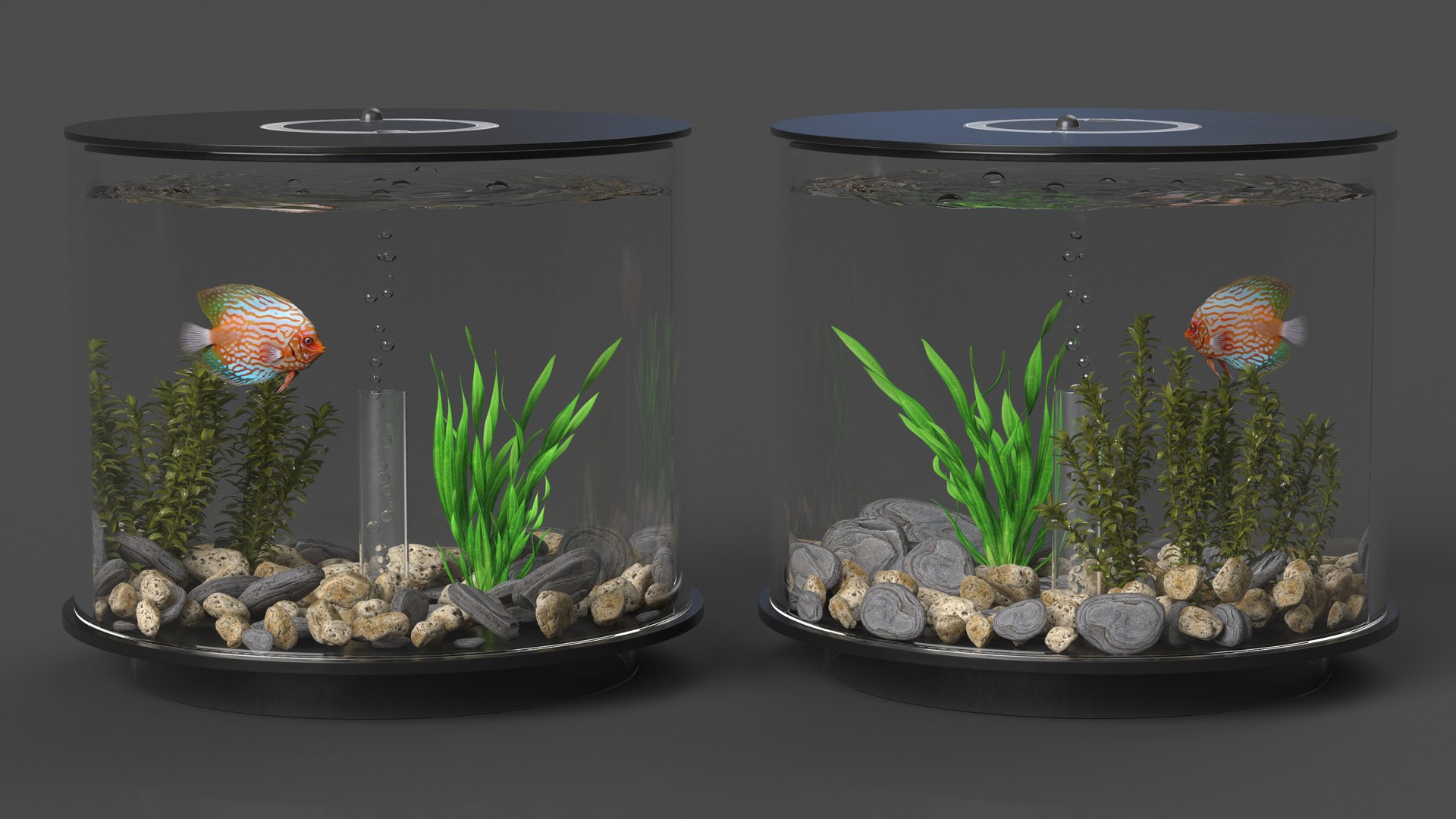 Black Cylinder Fish Tank 3D Model - TurboSquid 2133689