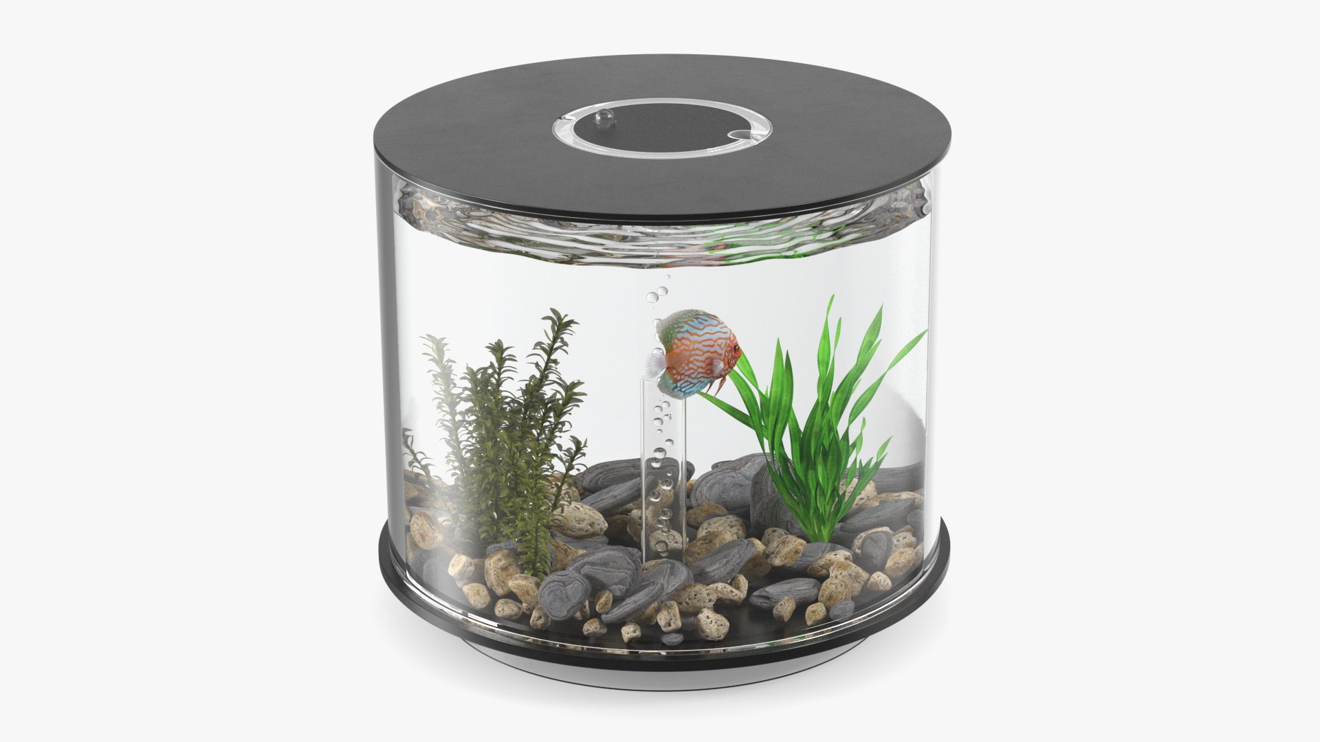 Black Cylinder Fish Tank 3D model - TurboSquid 2133689