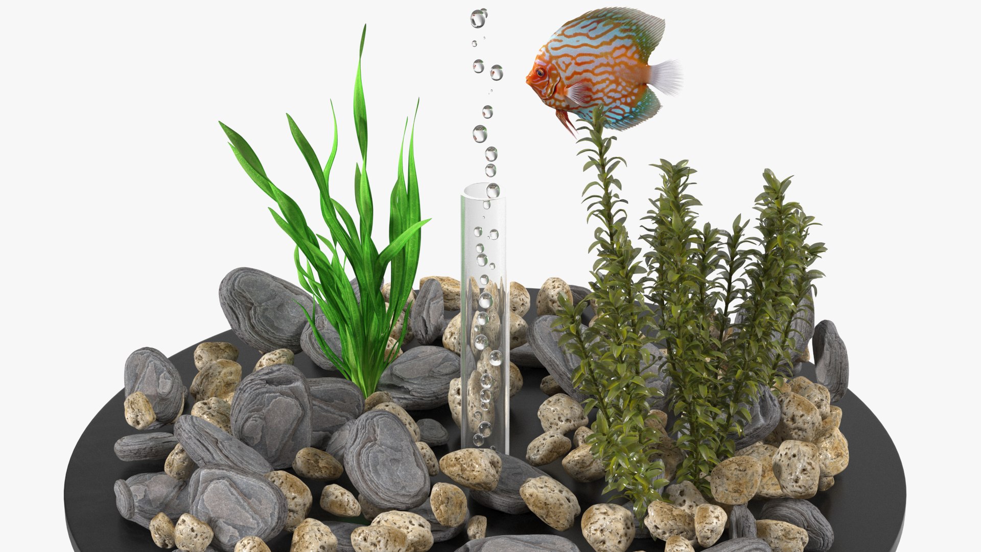 Black Cylinder Fish Tank 3D Model - TurboSquid 2133689
