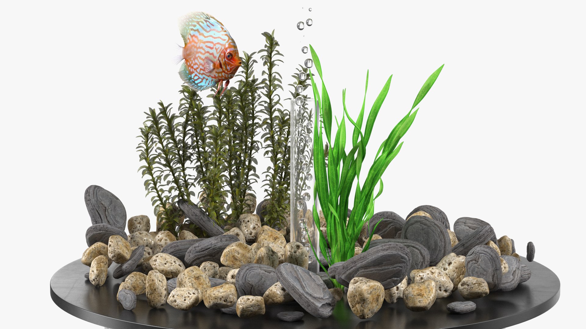 Black Cylinder Fish Tank 3D Model - TurboSquid 2133689