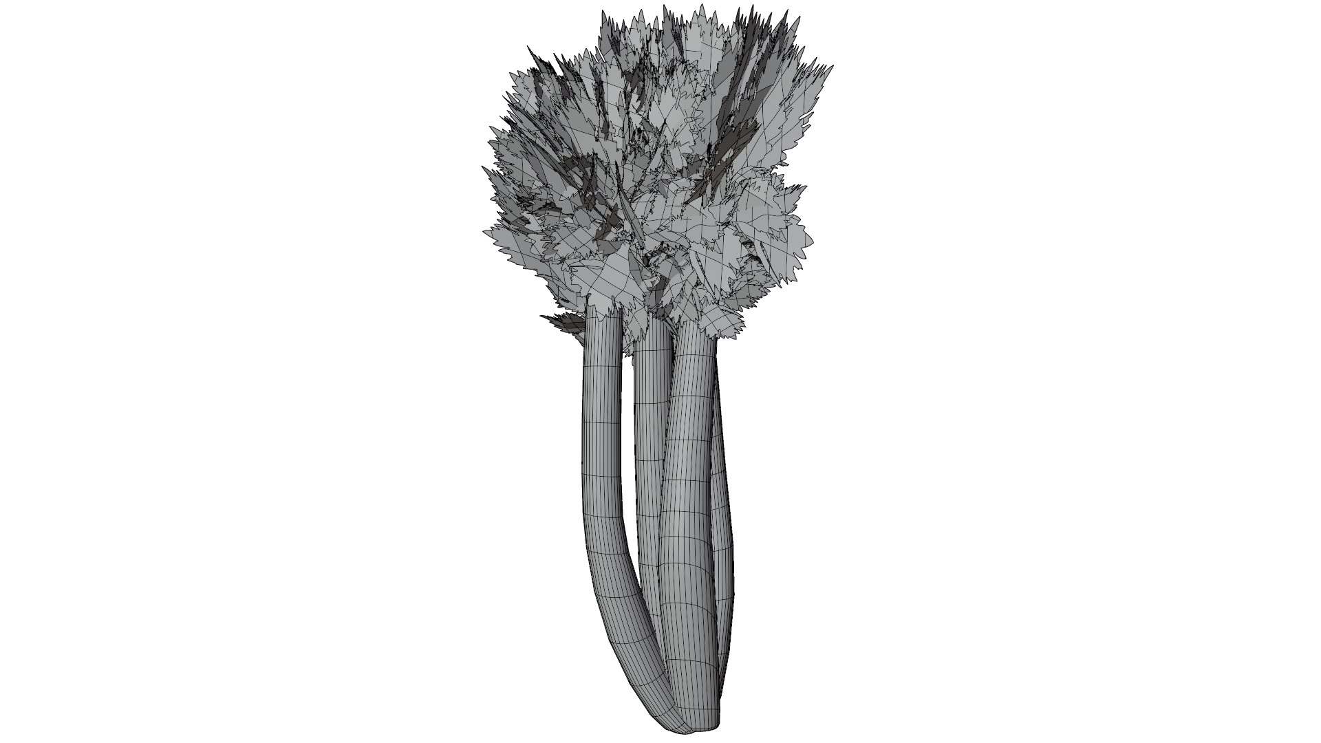 3D Celery - TurboSquid 2231200